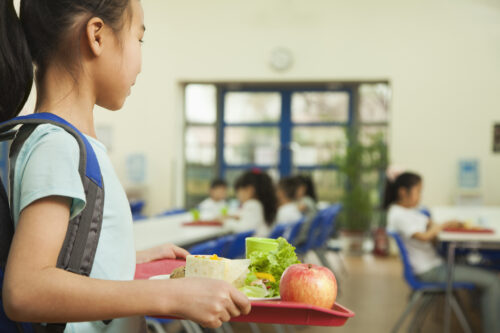 Cycle Menu Planning: Ensuring Variety and Compliance - SproutCNP